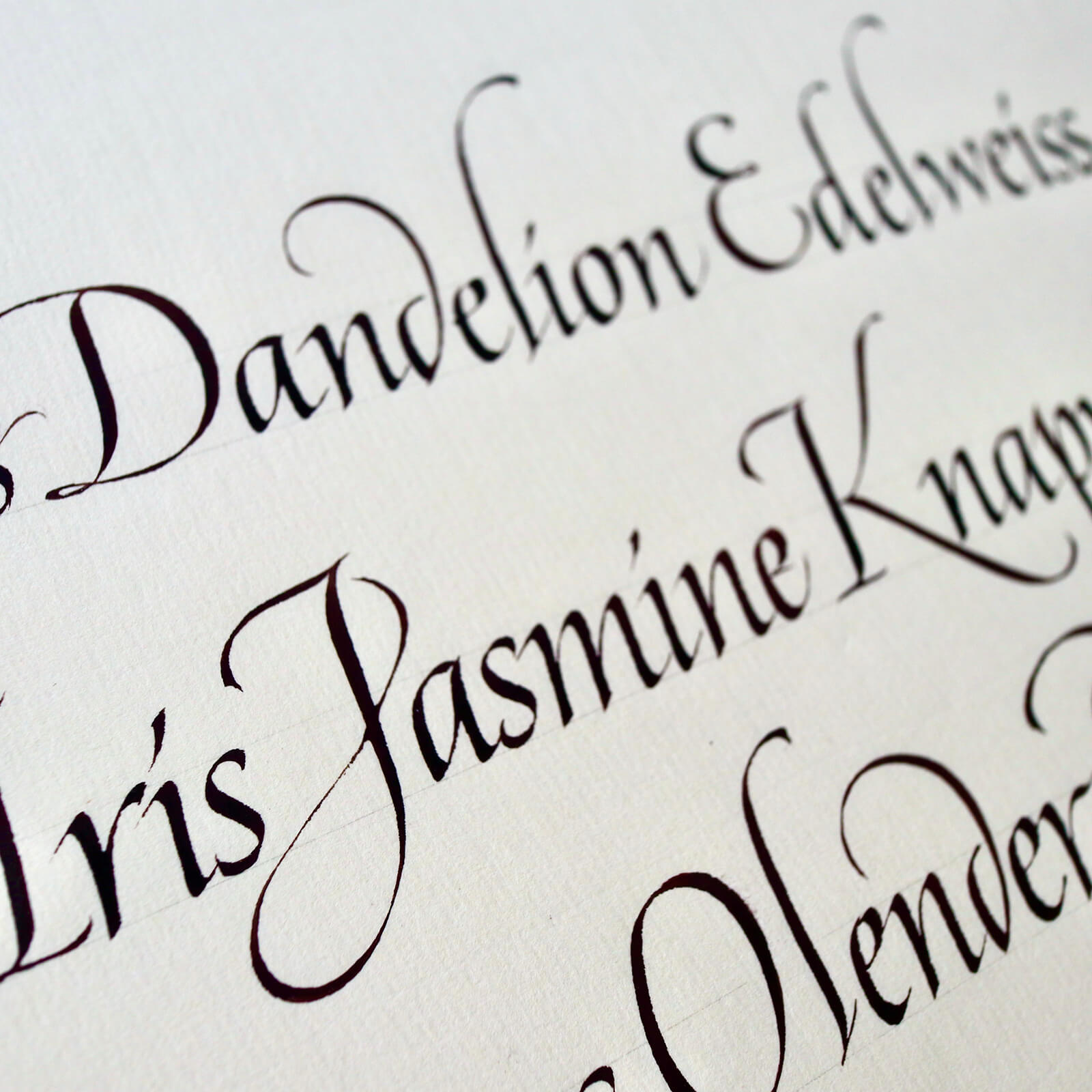 Flourish Italic Capitals A-Z List - Yukimi Annand